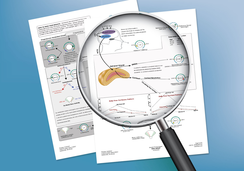 Patients - DUTCH Test