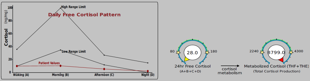 DUTCH Complete™ Cortisol Tutorial - DUTCH Test