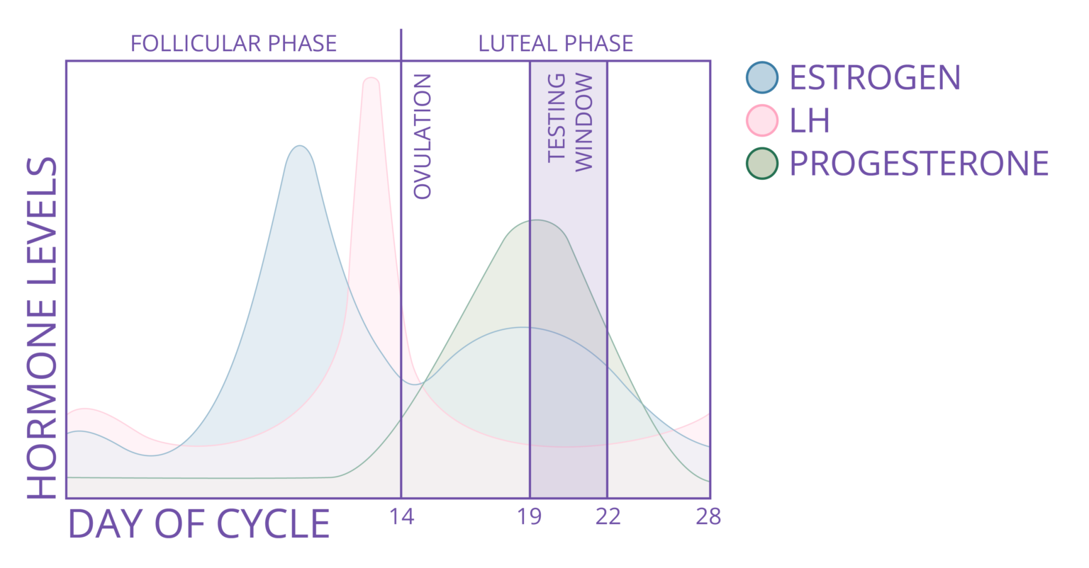Why we test during days 19-22 of a 28-day cycle - DUTCH Test