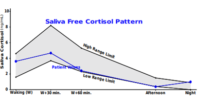 Assessing Chronic Fatigue with the Cortisol Awakening Response - DUTCH Test
